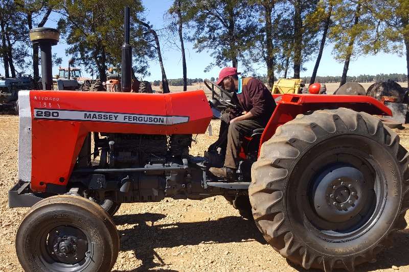 Massey Ferguson 290 Tractors for sale in Mpumalanga | R 110 000 on Agrimag